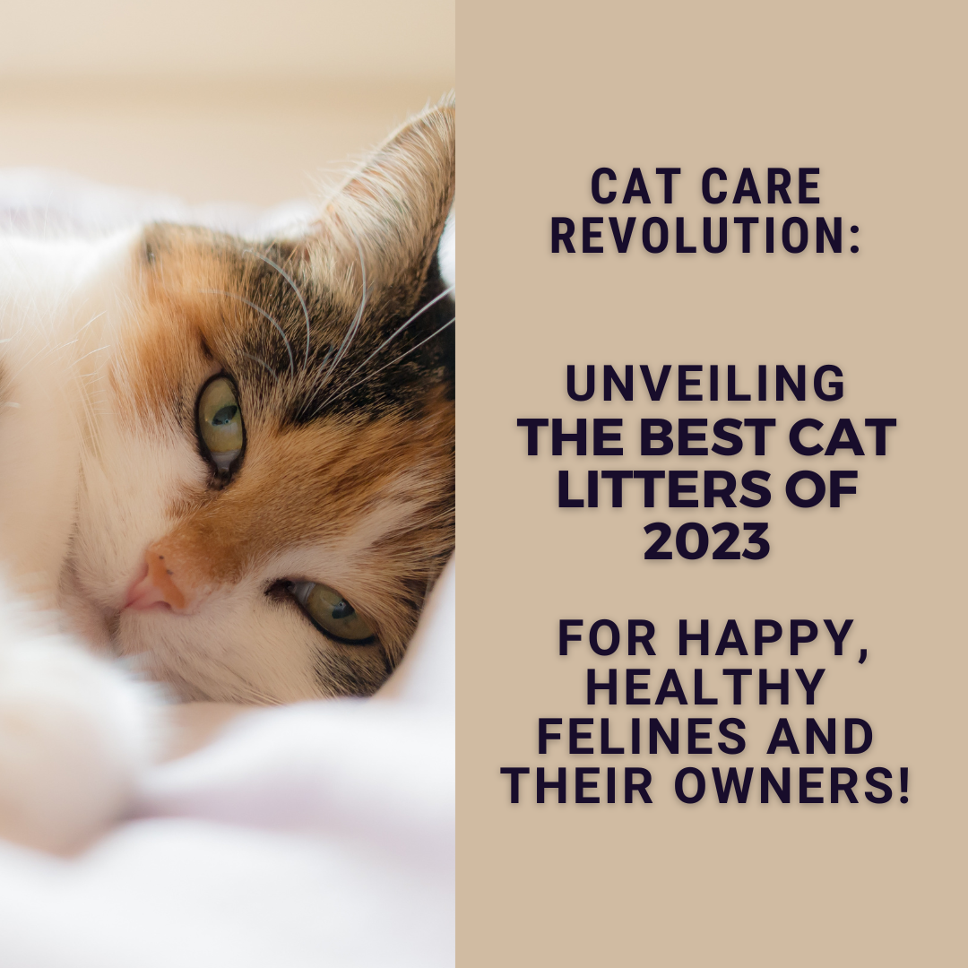 Cat Care Revolution: Unveiling the Best Cat Litters of 2023 for Happy ...